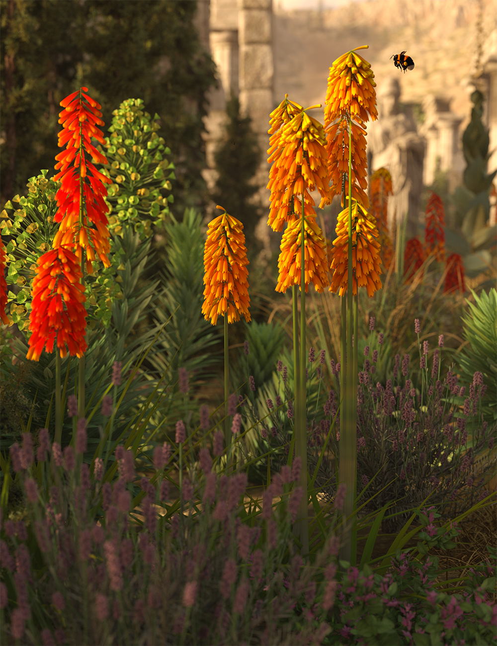 Kniphofia Plants - Red Hot Poker Flowers | Daz 3D