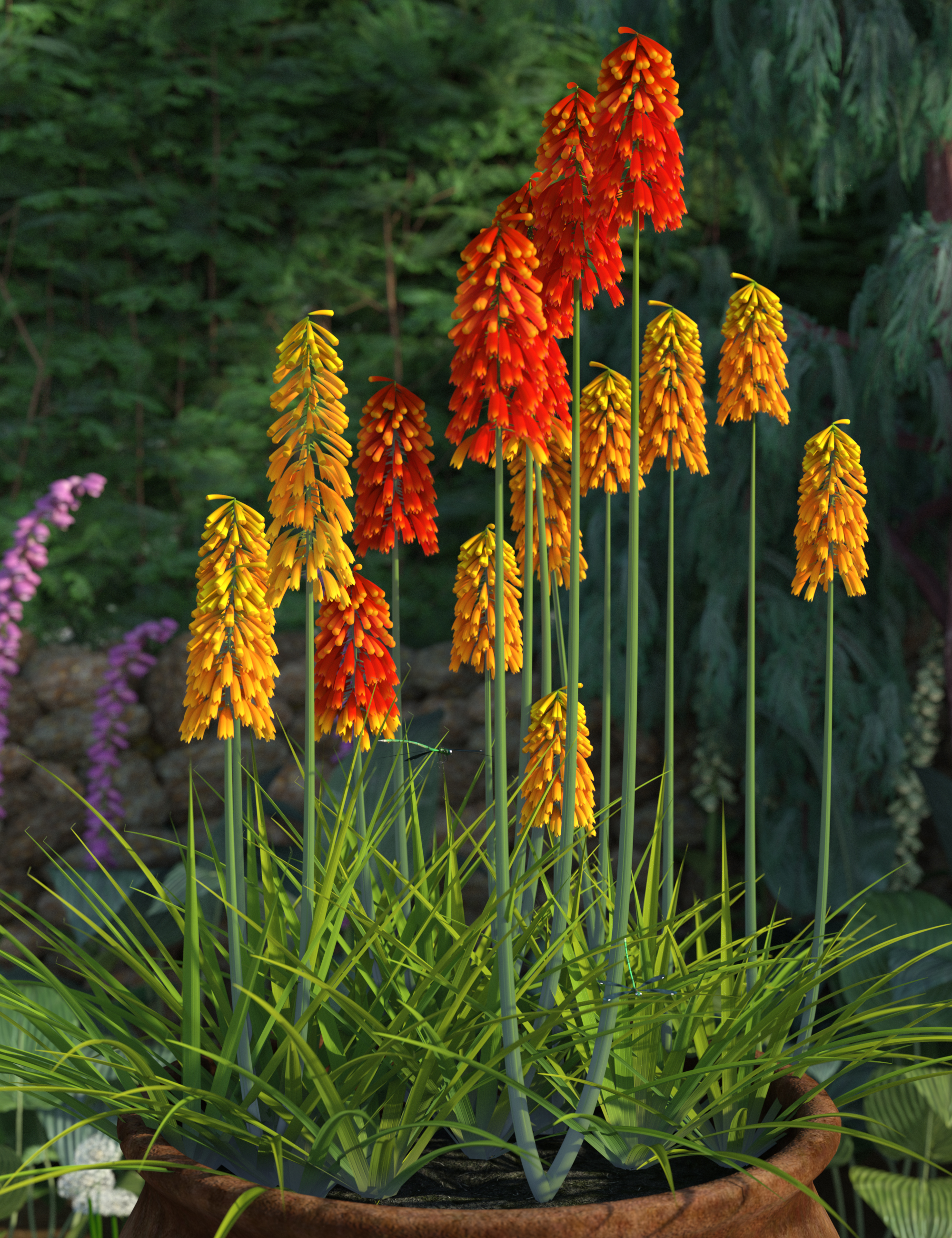 Kniphofia Plants - Red Hot Poker Flowers | Daz 3D