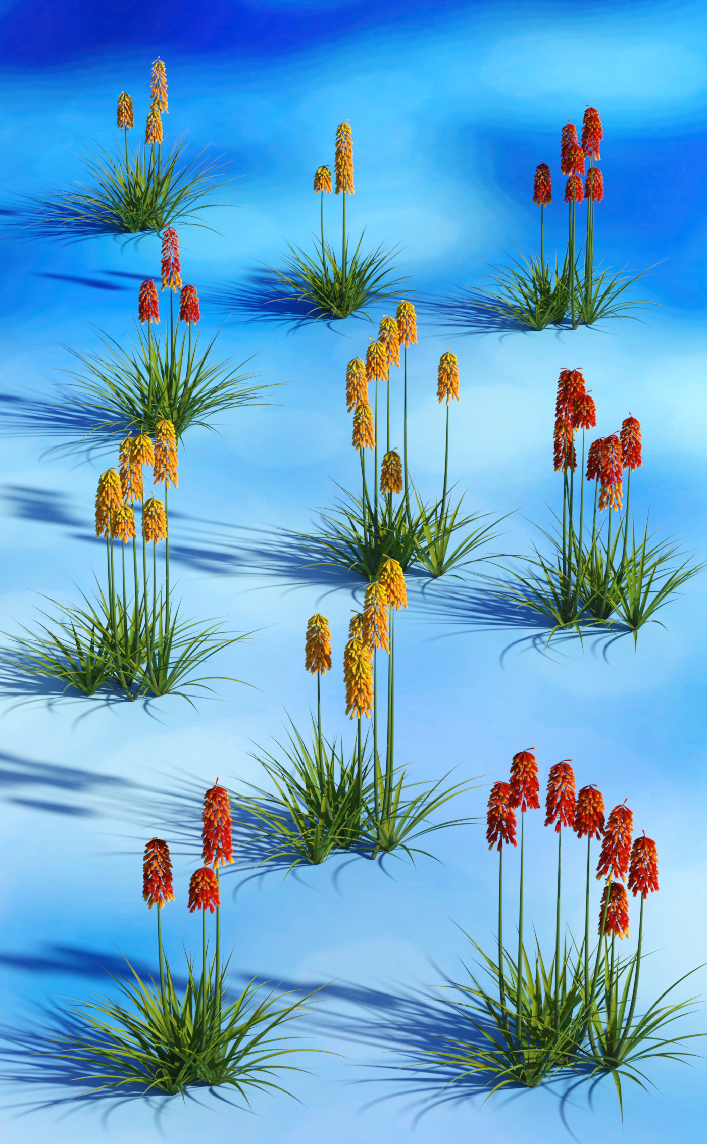 Kniphofia Plants - Red Hot Poker Flowers | Daz 3D