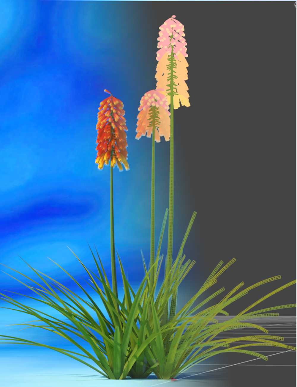 Kniphofia Plants - Red Hot Poker Flowers | Daz 3D