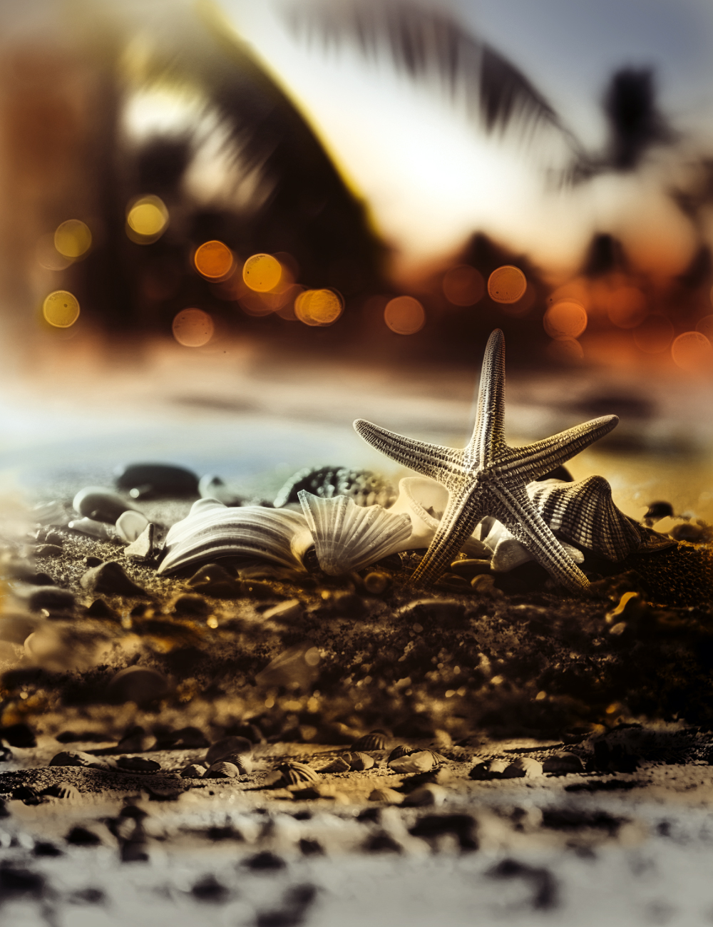 GNBD Bokeh Beach Brushes, Mockups, Patterns and PS CC Actions | Daz 3D