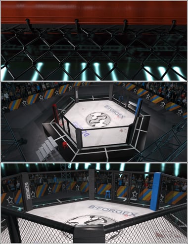 FM MMA Arena | Daz 3D