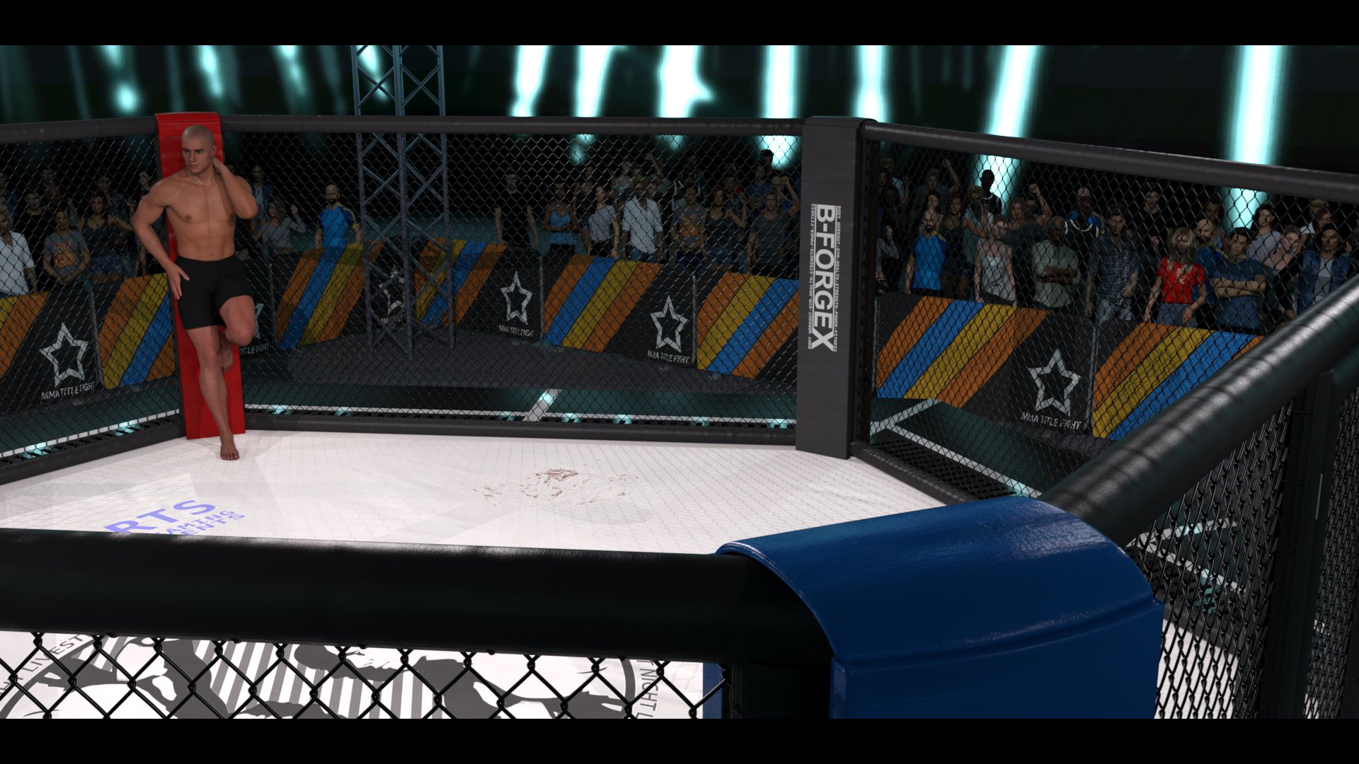 FM MMA Arena | Daz 3D