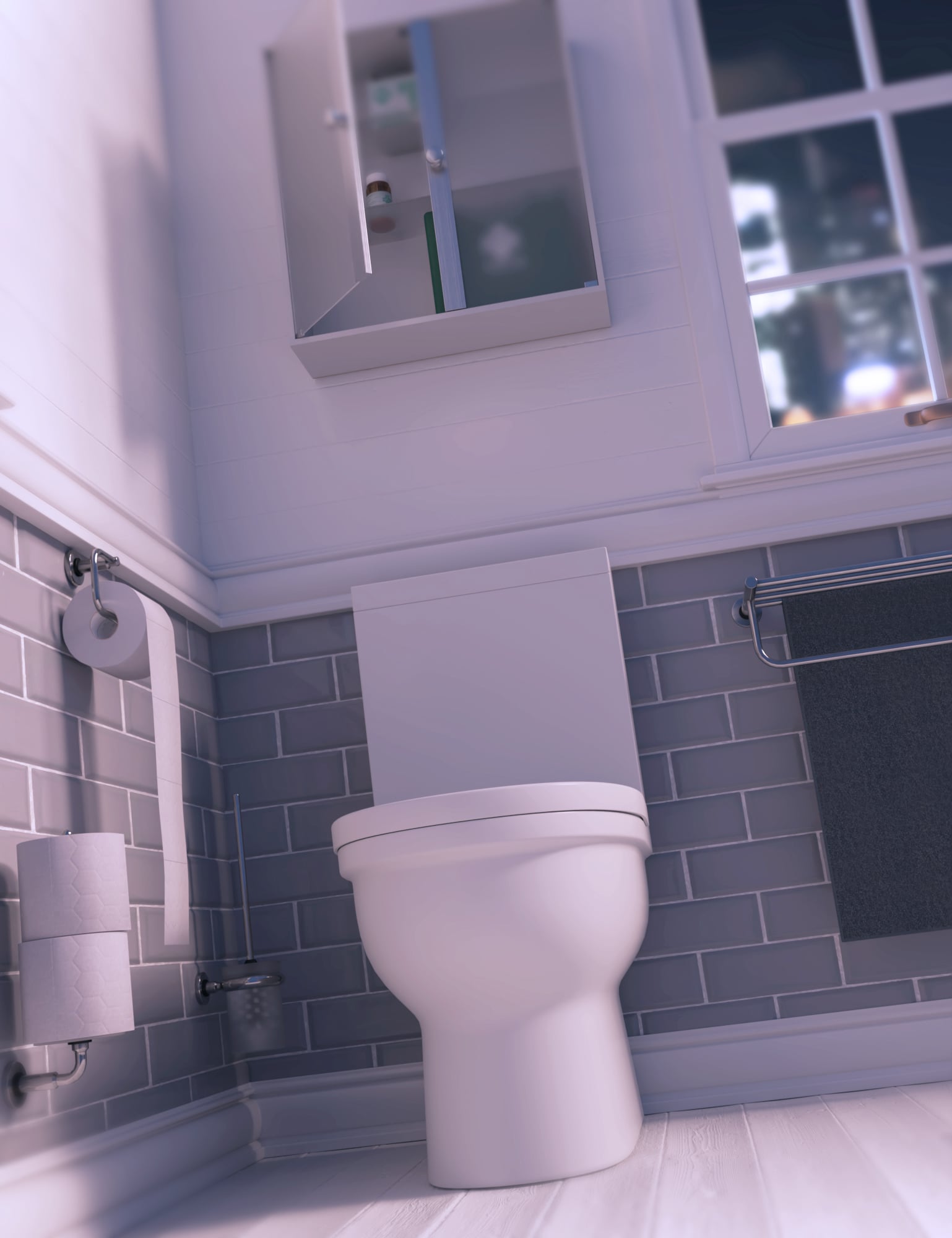 Everyday Bathroom Props | Daz 3D
