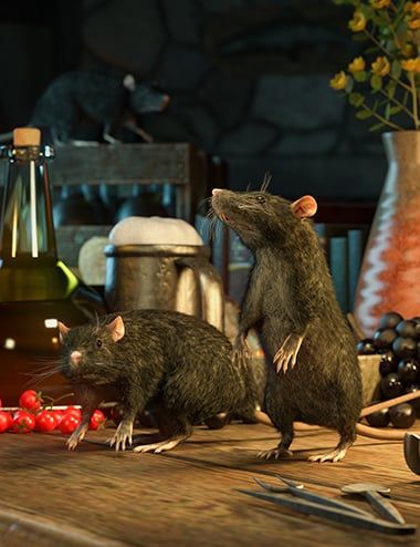 LoREZ Rat 2 | Daz 3D