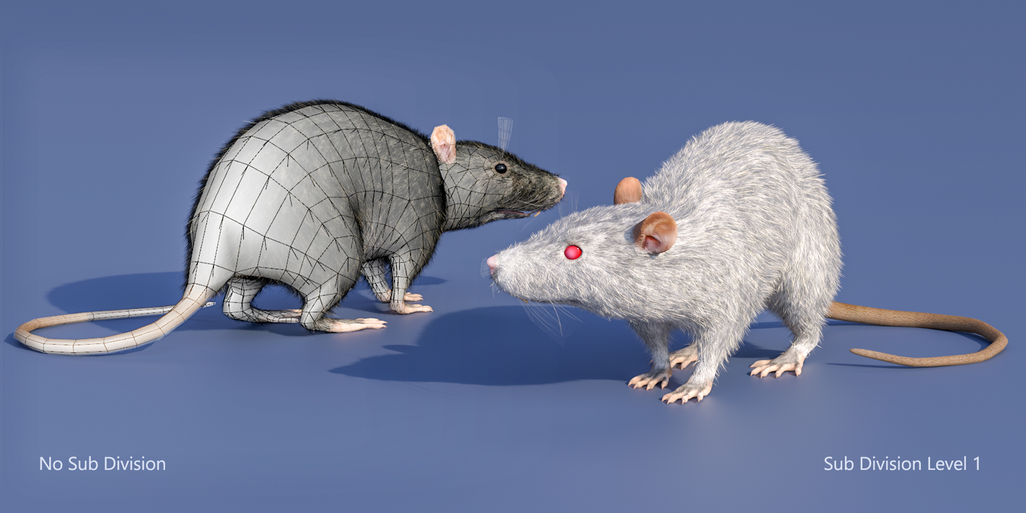 LoREZ Rat 2 | Daz 3D