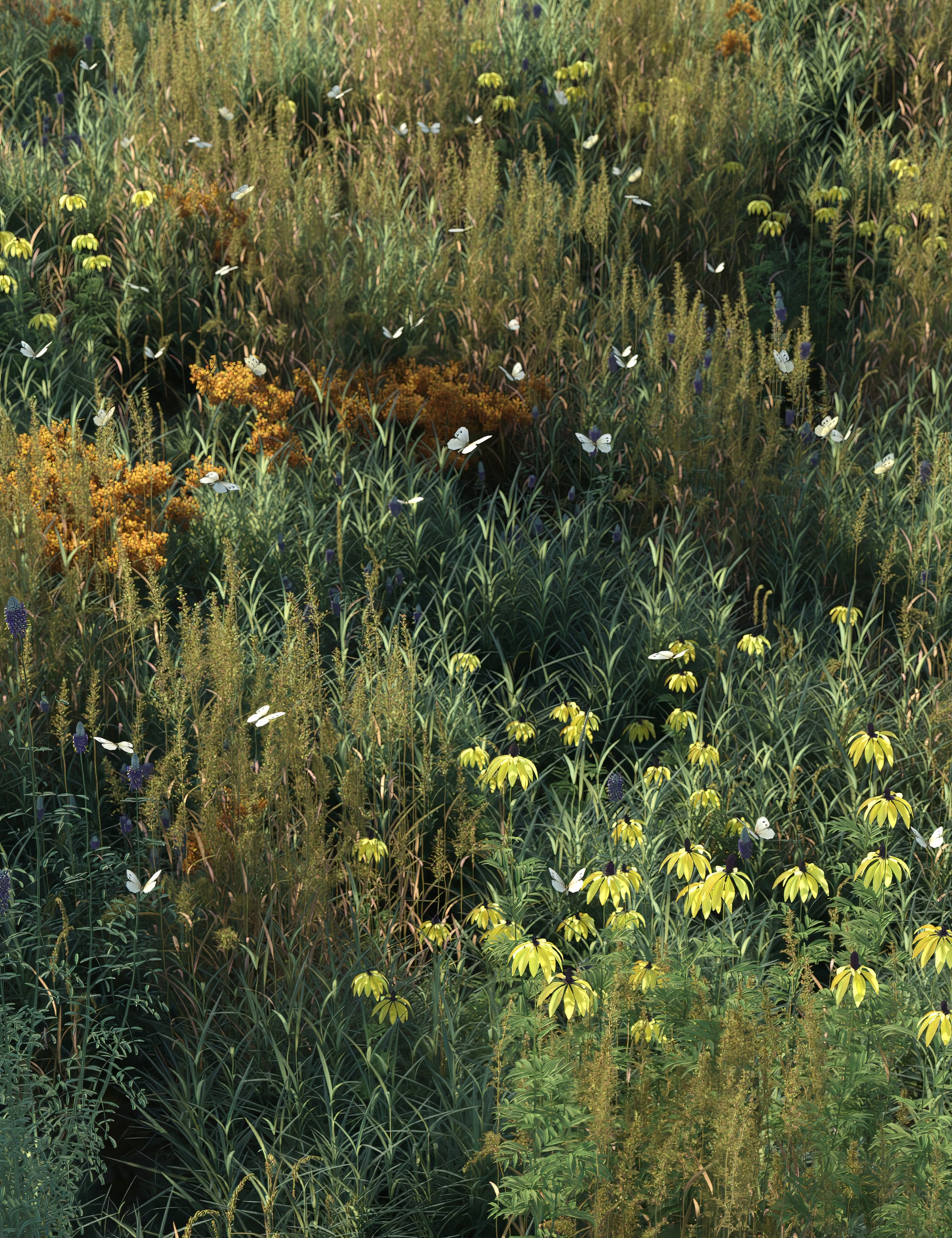 Prairie Grass and Flower Plant Collection | Daz 3D
