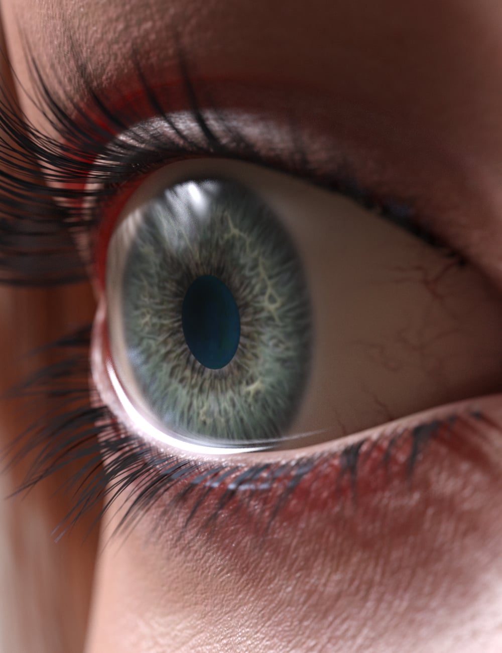 GP Character Eyes Volume 2 for Genesis 8 | Daz 3D