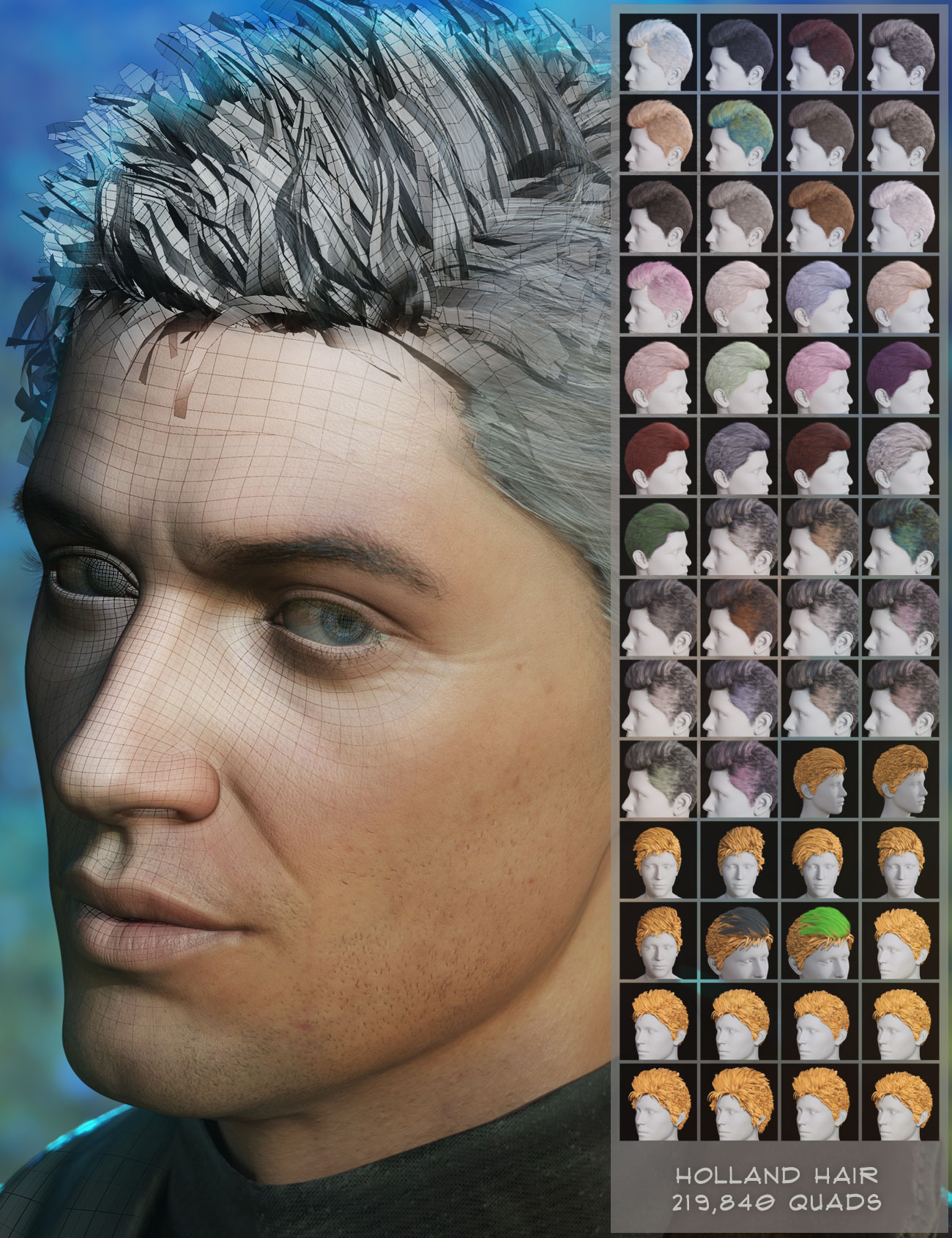 Holland Hair for Genesis 9 | Daz 3D