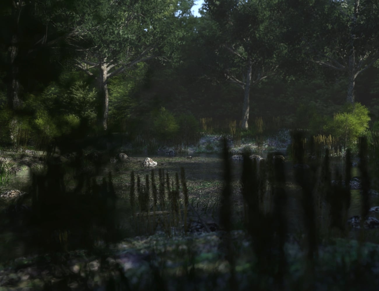 Flooded Terrain | Daz 3D
