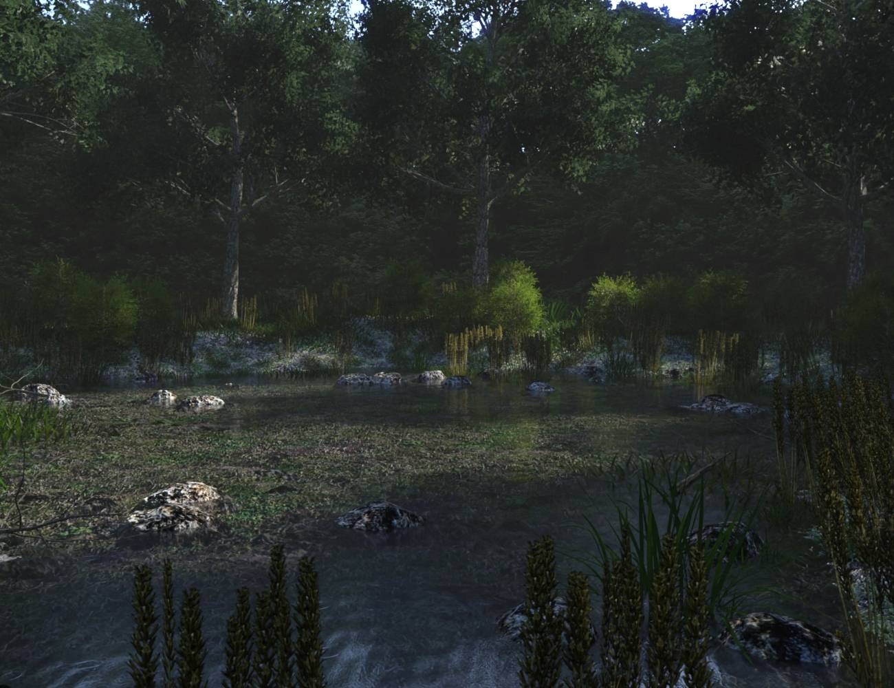 Flooded Terrain | Daz 3D