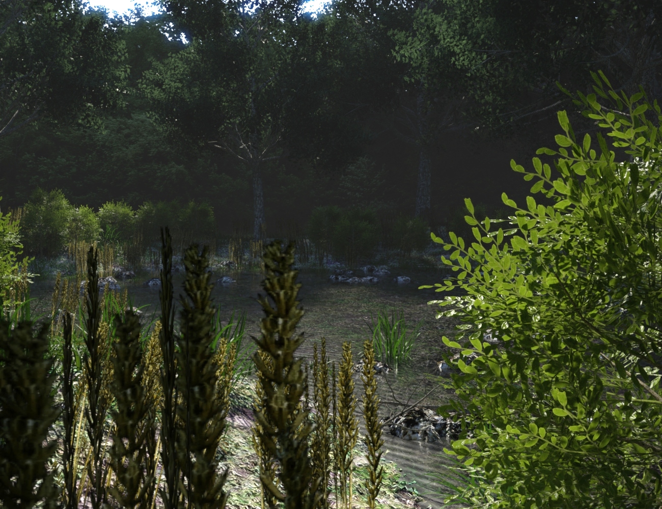 Flooded Terrain | Daz 3D