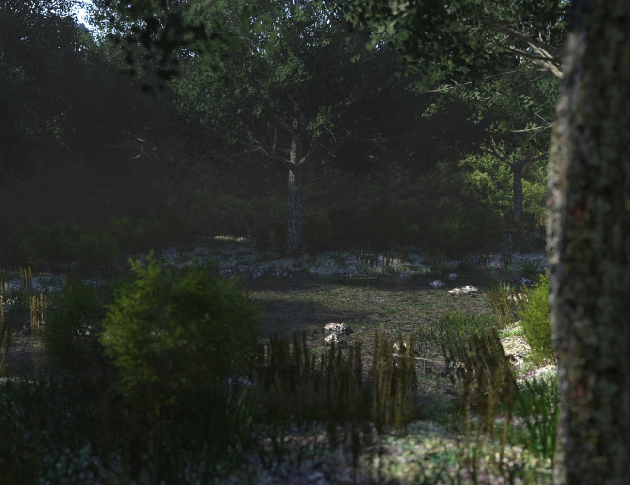 Flooded Terrain | Daz 3D