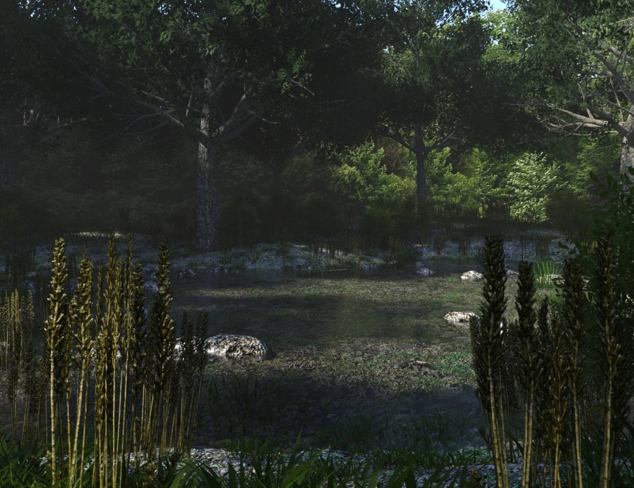 Flooded Terrain | Daz 3D