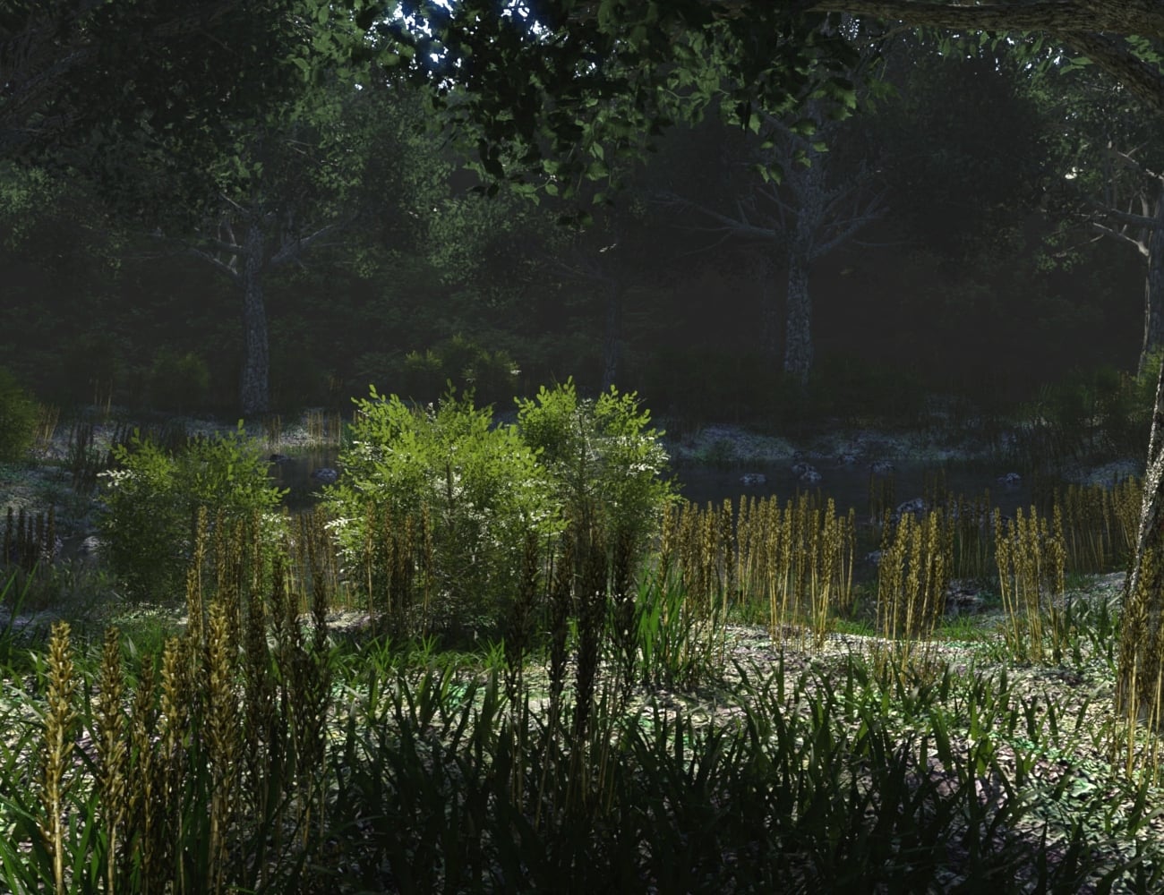 Flooded Terrain | Daz 3D