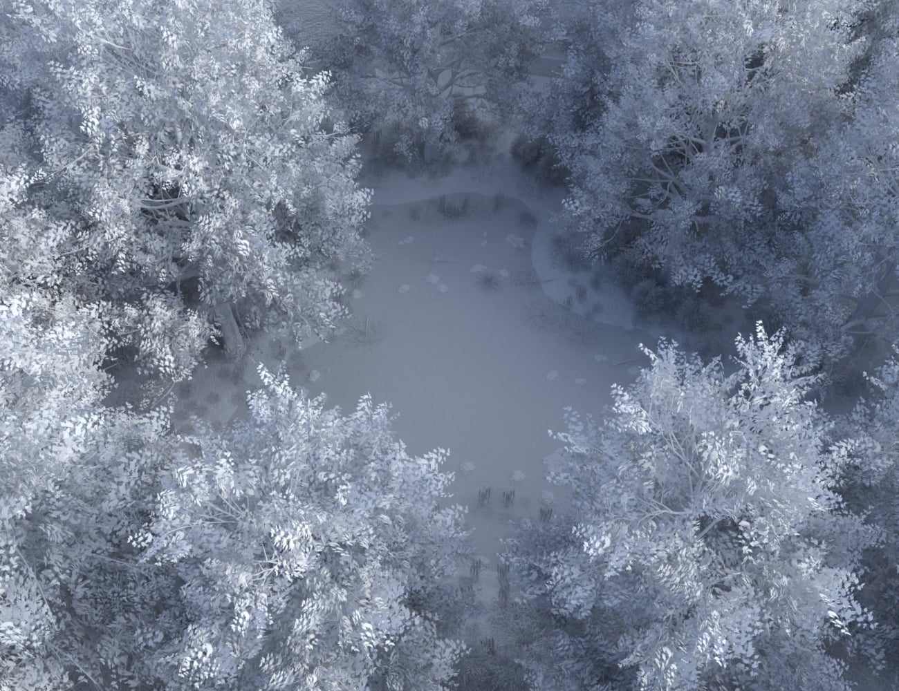Flooded Terrain | Daz 3D