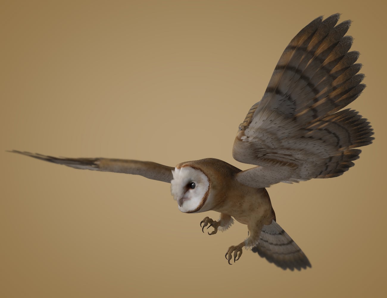 DS Fantasy Owl | Daz 3D