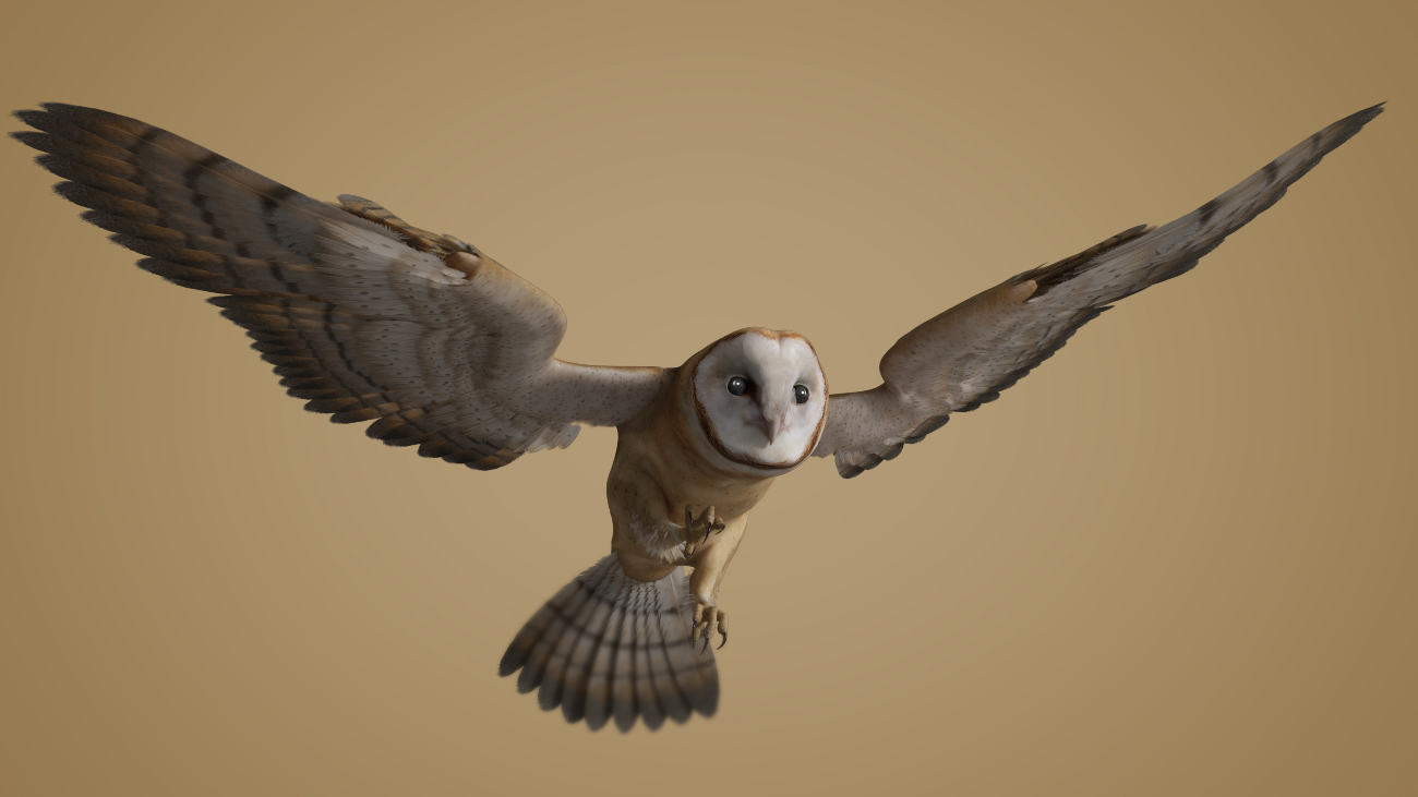 DS Fantasy Owl | Daz 3D