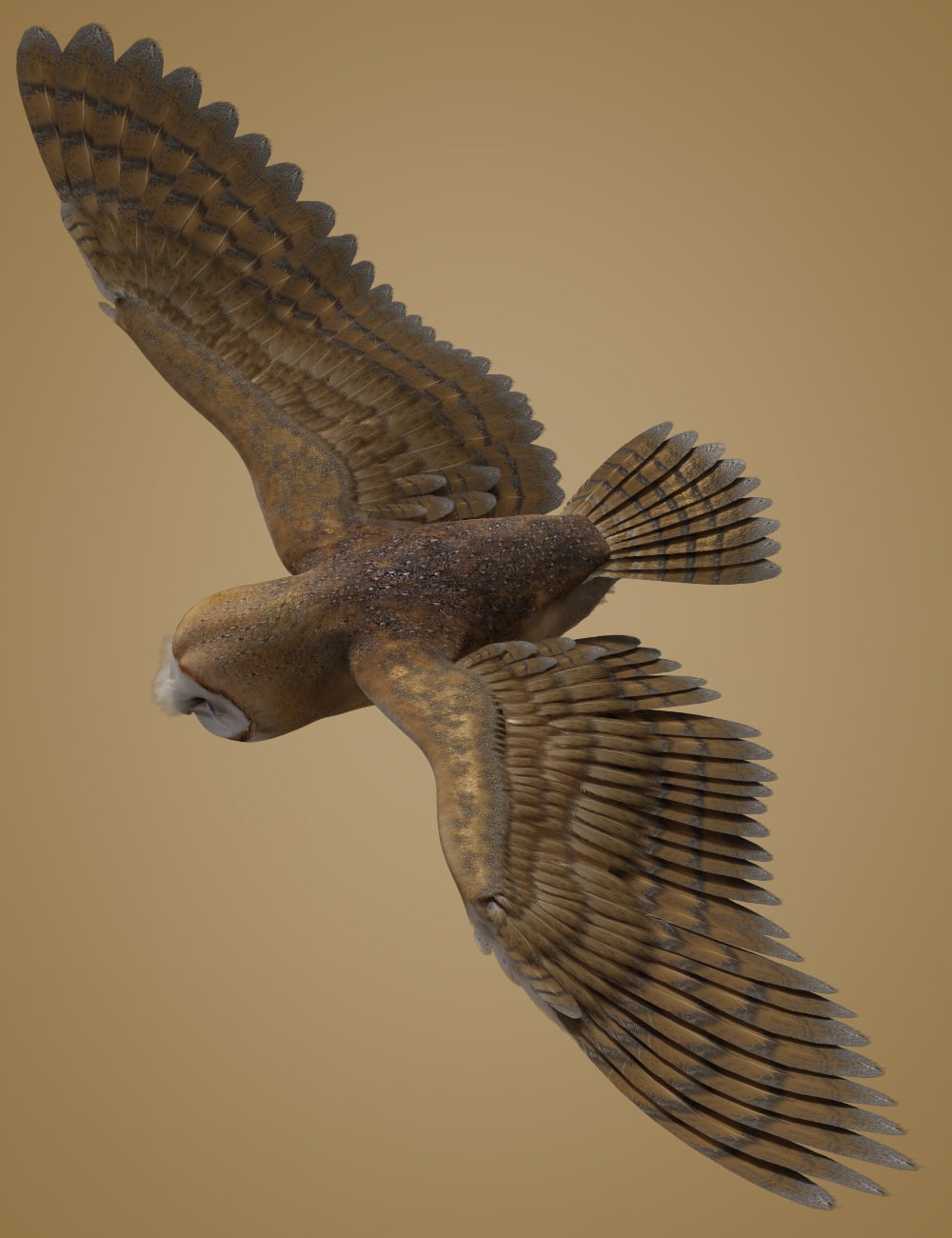 DS Fantasy Owl | Daz 3D