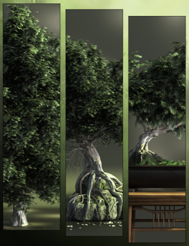 V176 Yew Trees | Daz 3D