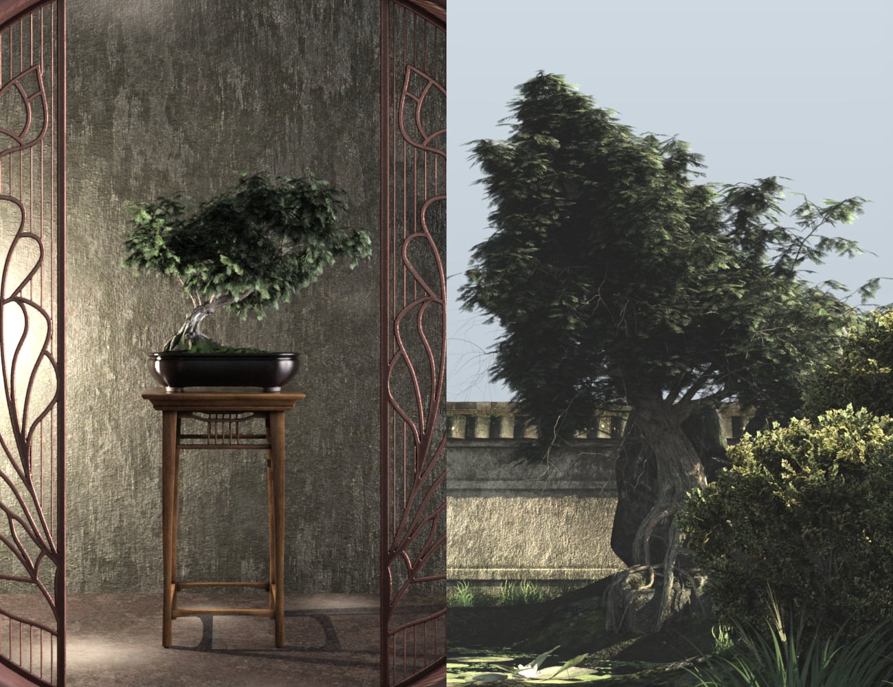 V176 Yew Trees | Daz 3D