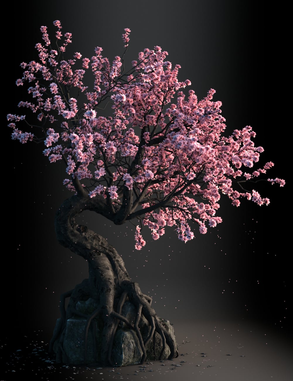 V176 Flowering Cherry Trees | Daz 3D