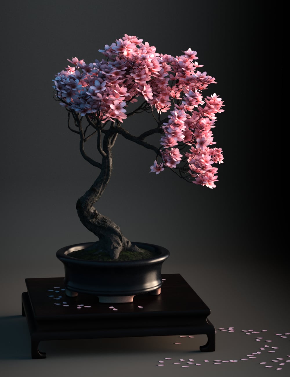 V176 Flowering Cherry Trees | Daz 3D