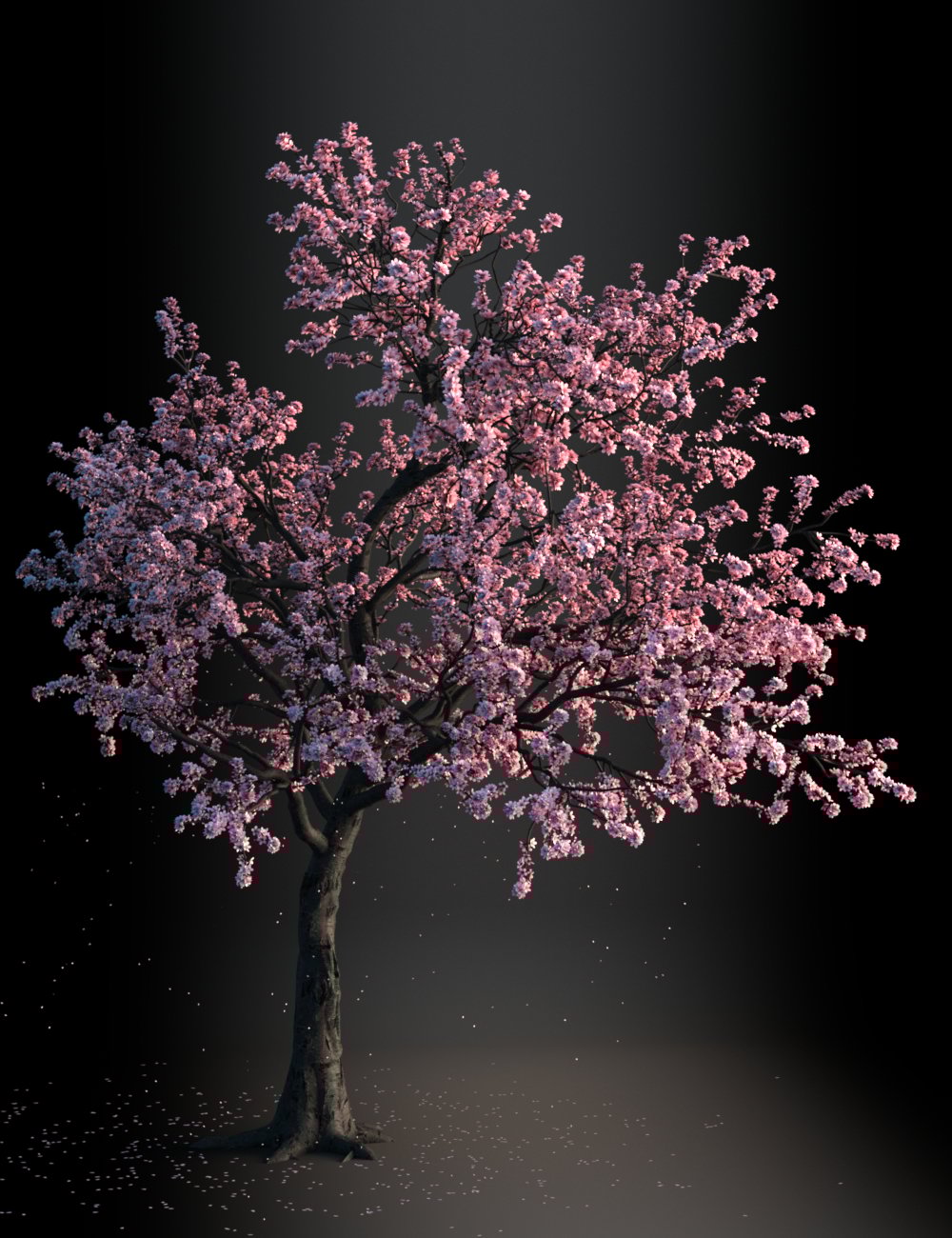 V176 Trees Bundle | Daz 3D