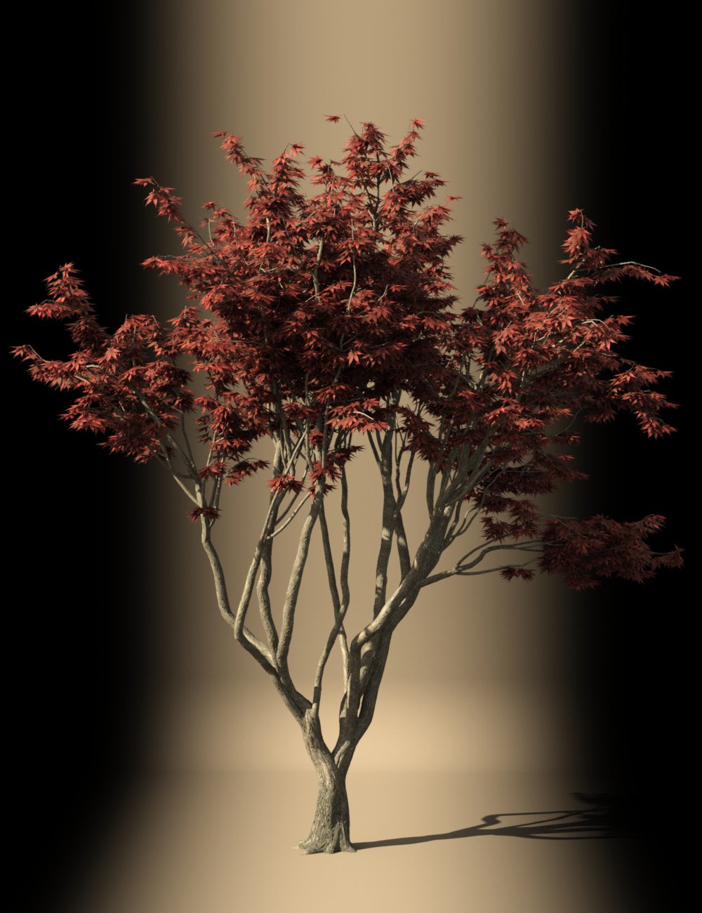V176 Trees Bundle | Daz 3D