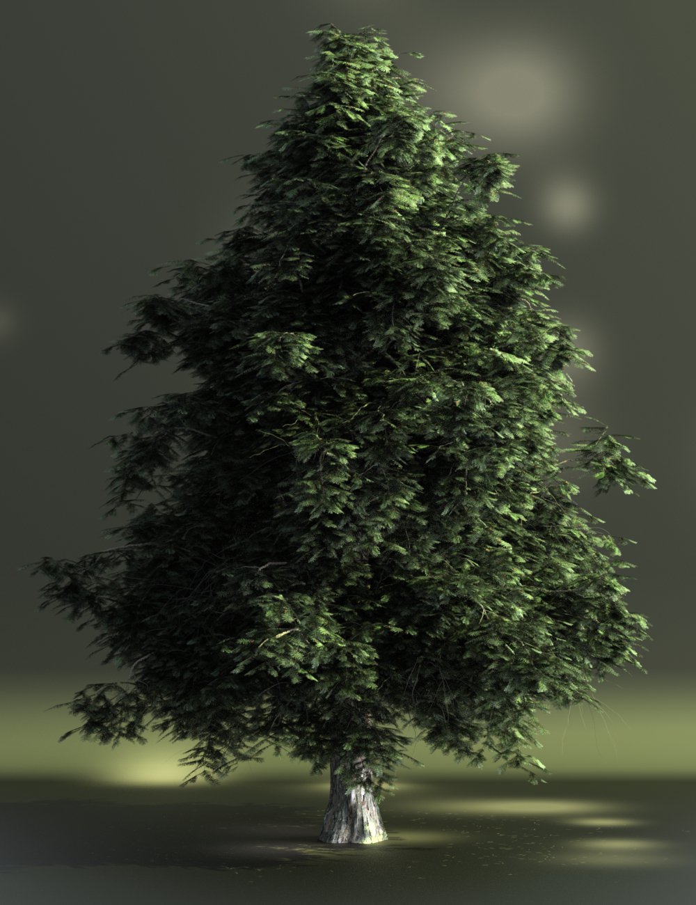 V176 Trees Bundle | Daz 3D