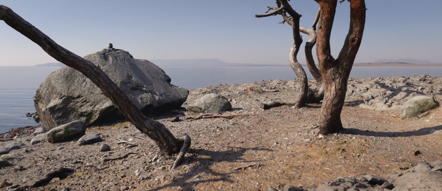 Secluded Beach | Daz 3D