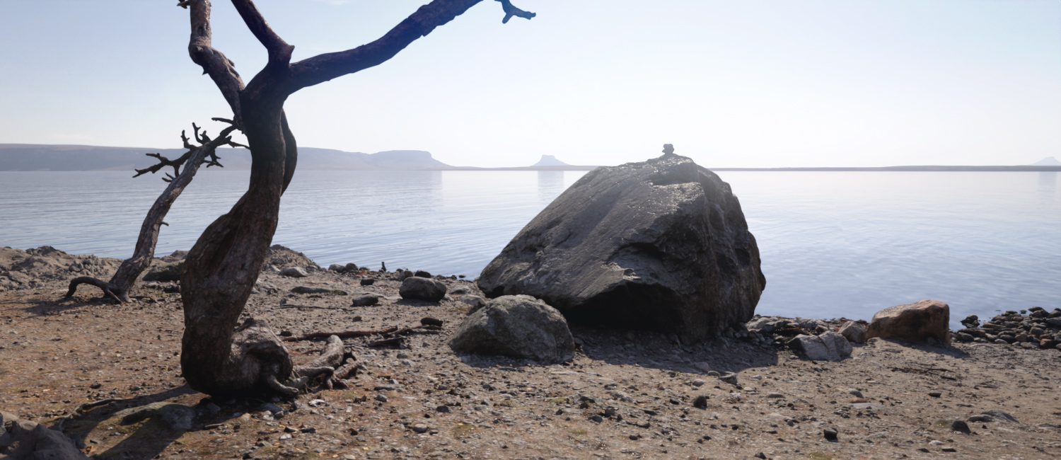 Secluded Beach | Daz 3D