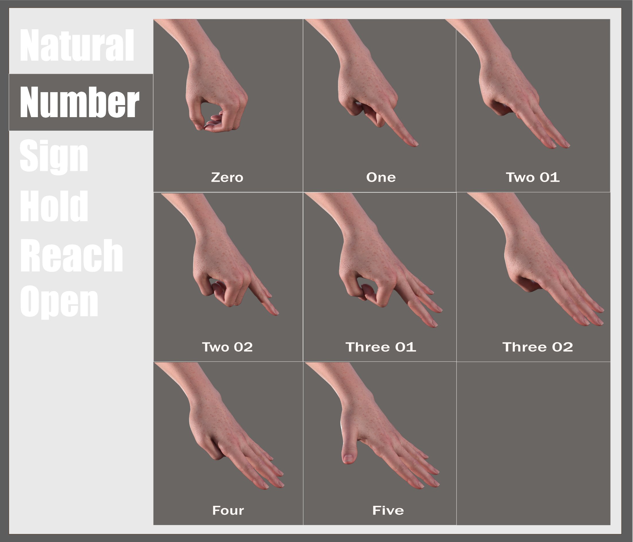 FG Hand Poses for Genesis 9 | Daz 3D