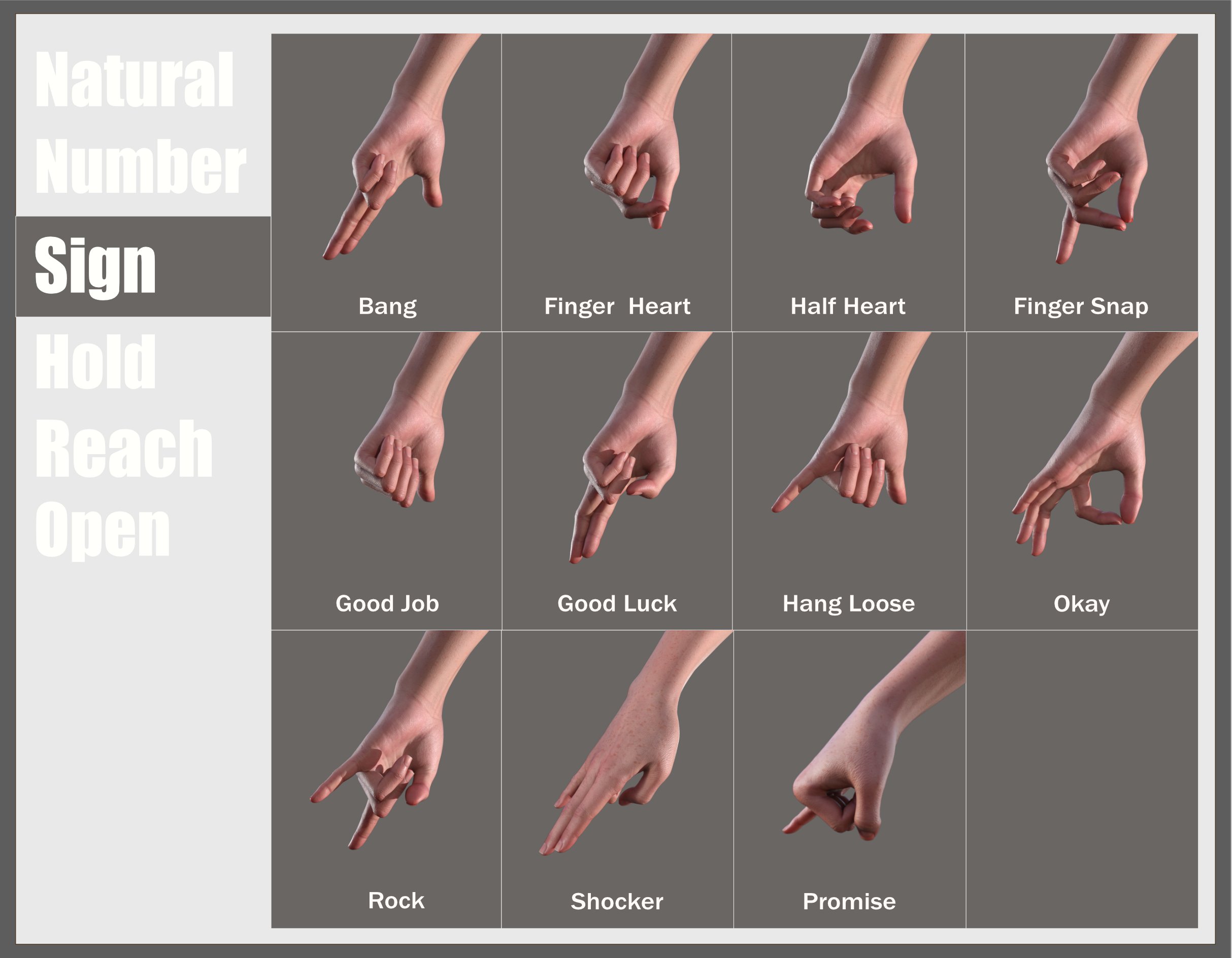 FG Hand Poses for Genesis 9 | Daz 3D