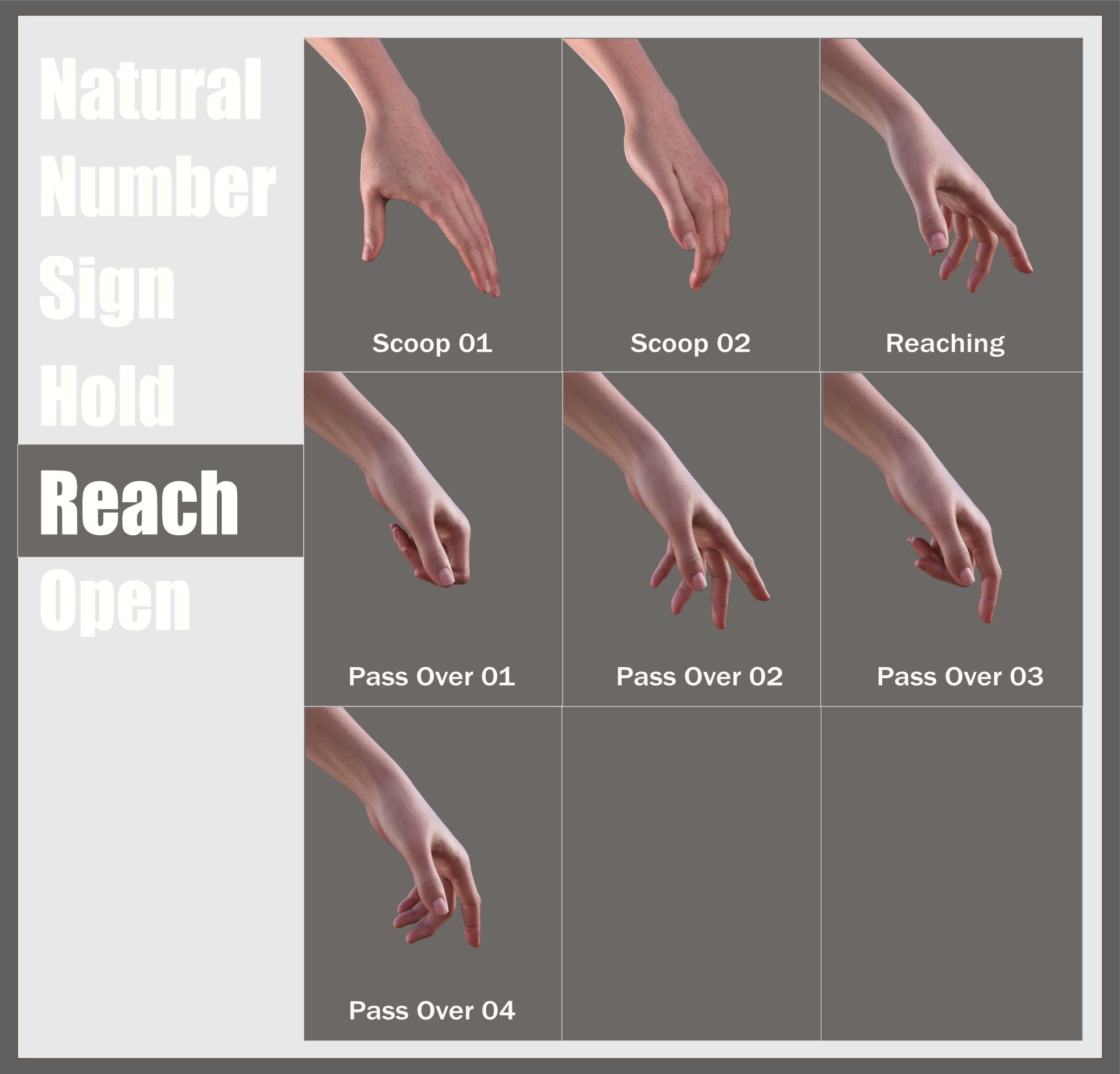 FG Hand Poses for Genesis 9 | Daz 3D