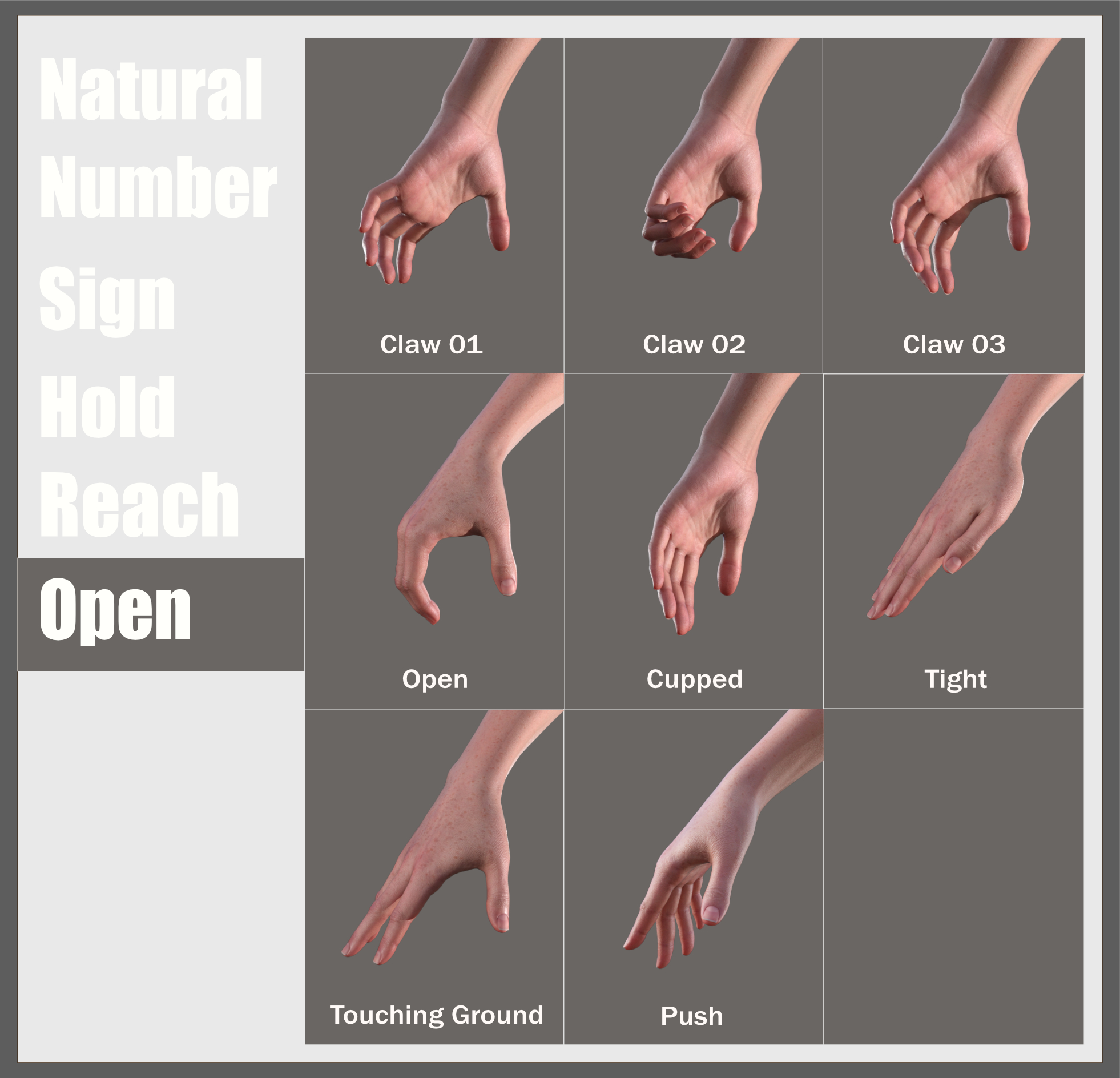 FG Hand Poses for Genesis 9 | Daz 3D