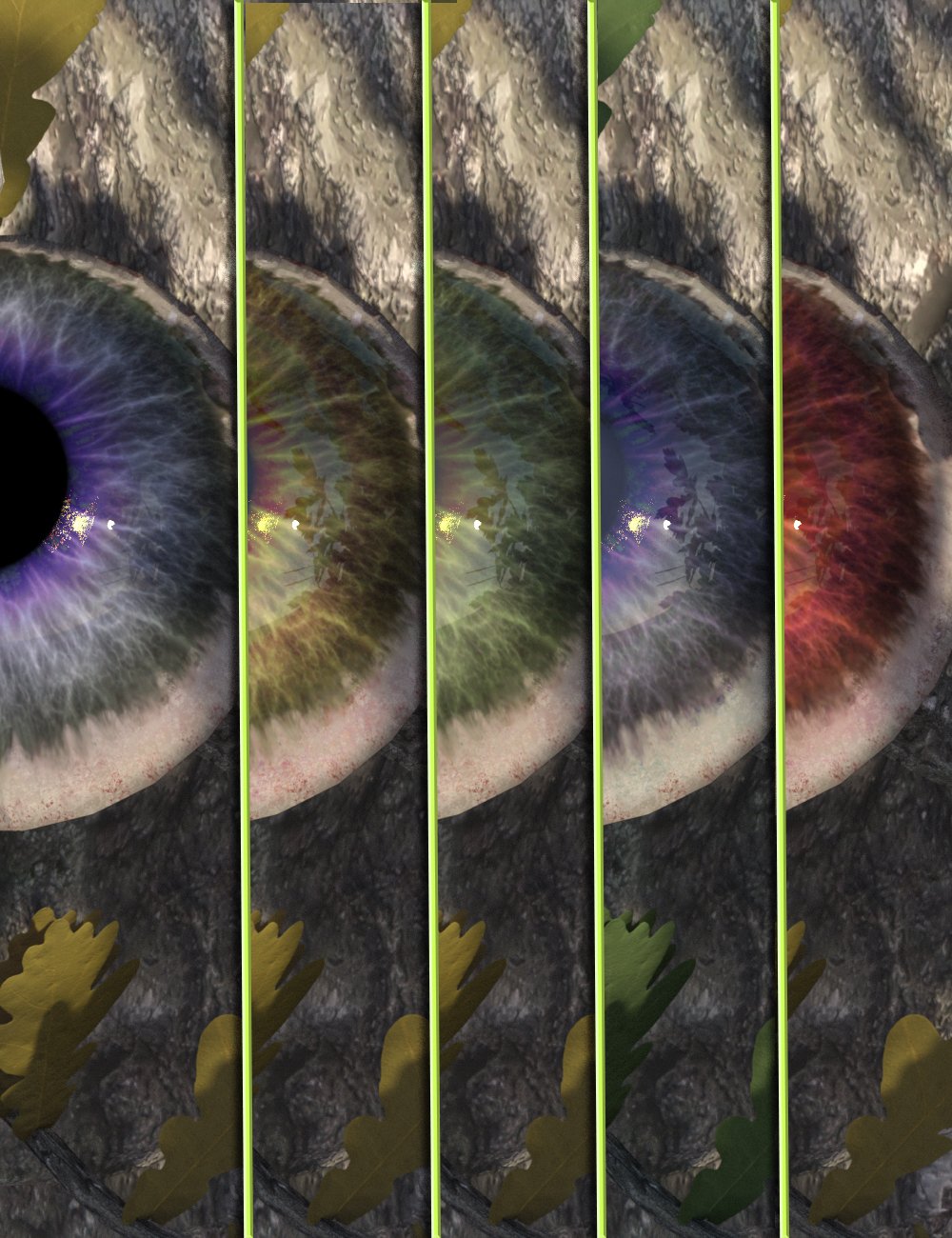 Quercus Oculus - Creepy Trees With Eyes | Daz 3D