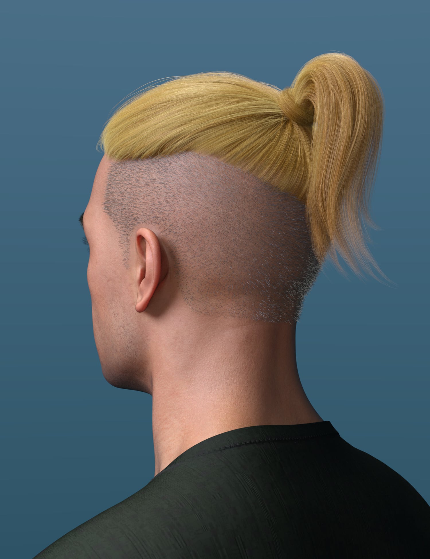 SPR Exquisite Hair for Genesis 9 | Daz 3D