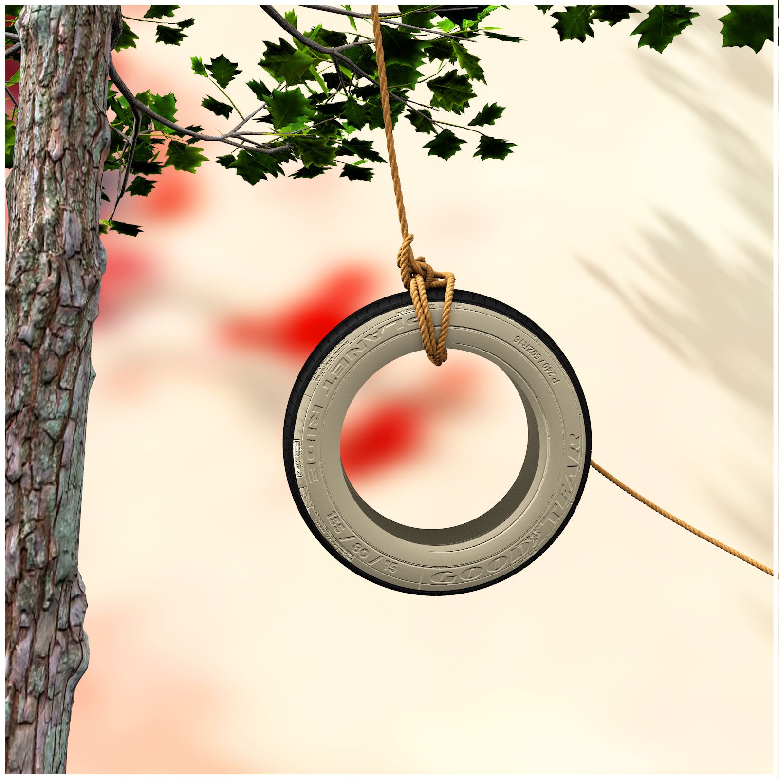 Pin Up Boxes | Daz 3D