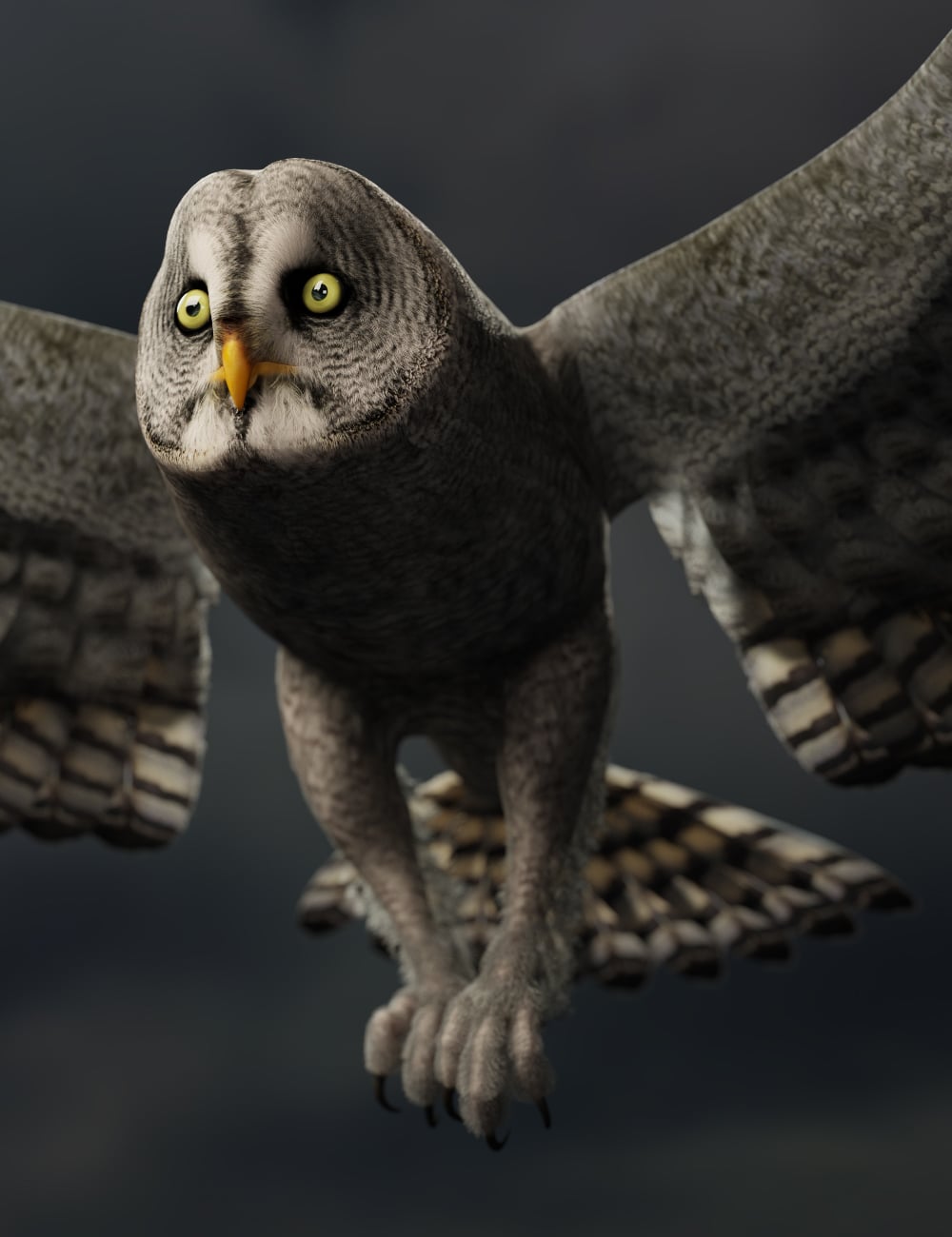DS Fantasy Owl Species | Daz 3D