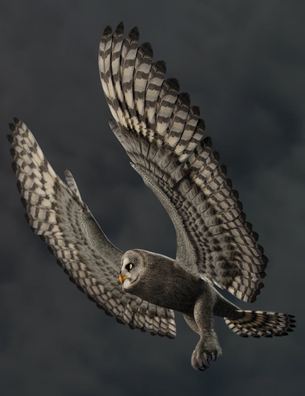 DS Fantasy Owl Species | Daz 3D