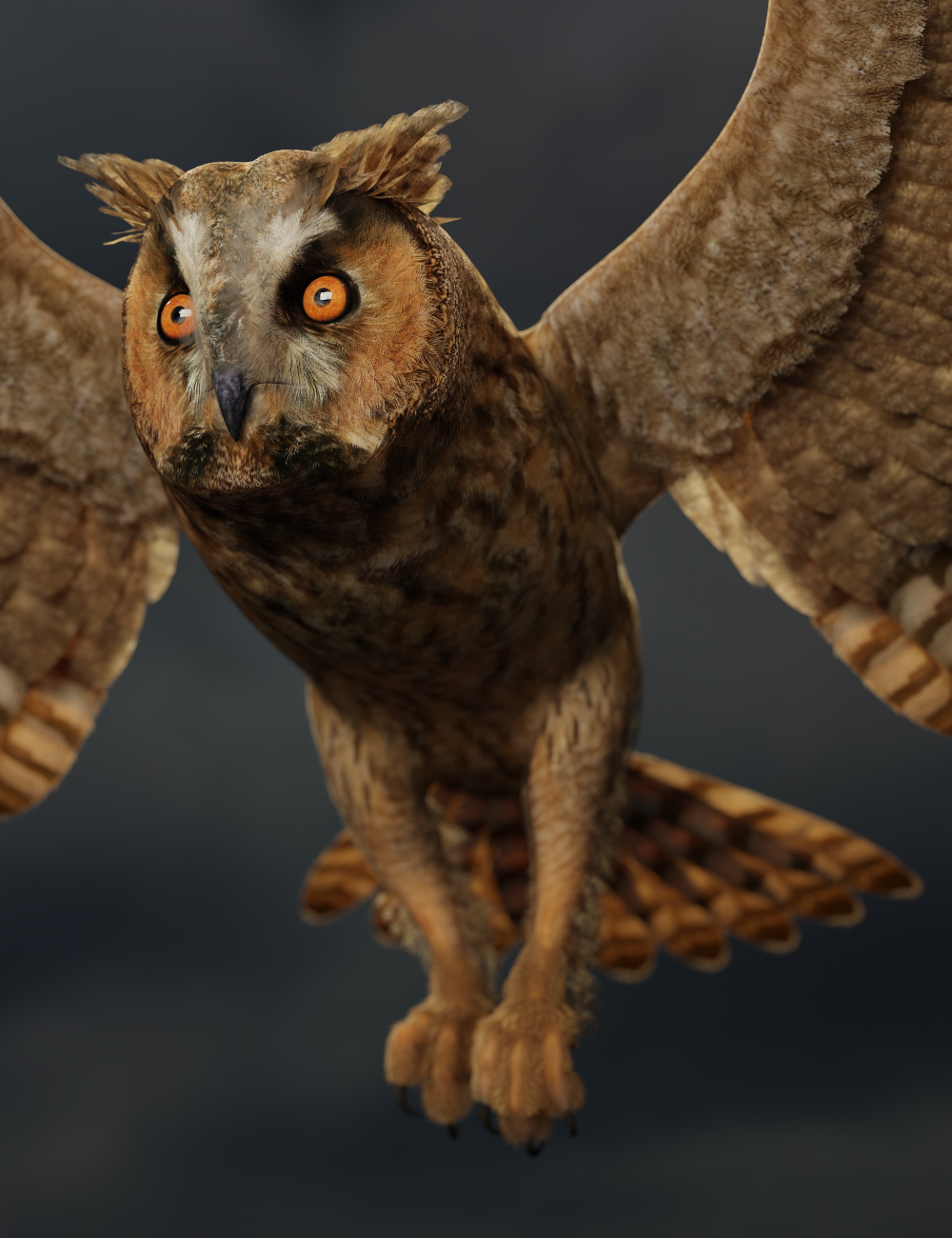 DS Fantasy Owl Species | Daz 3D