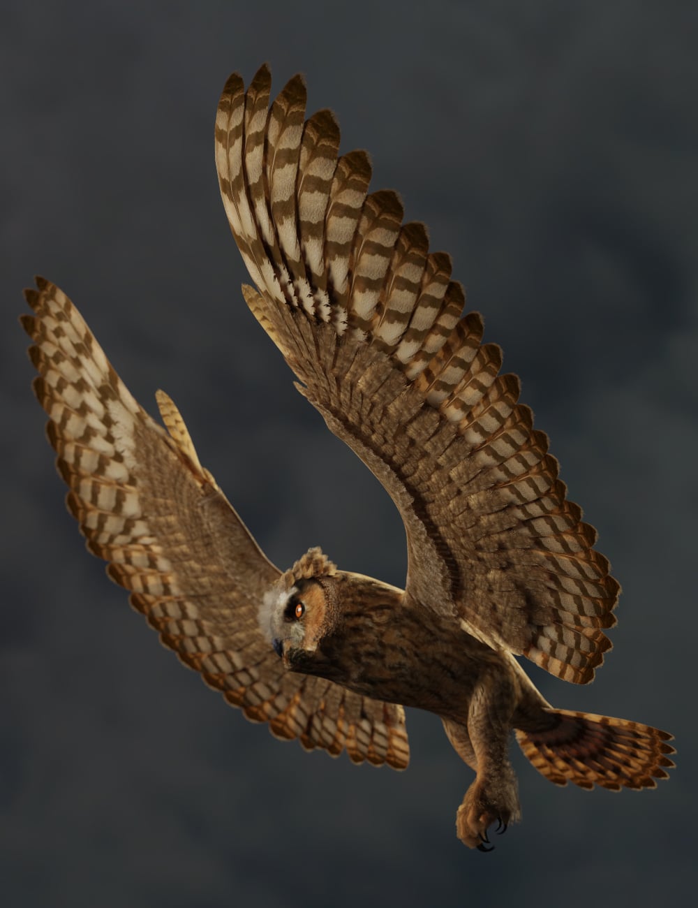DS Fantasy Owl Species | Daz 3D