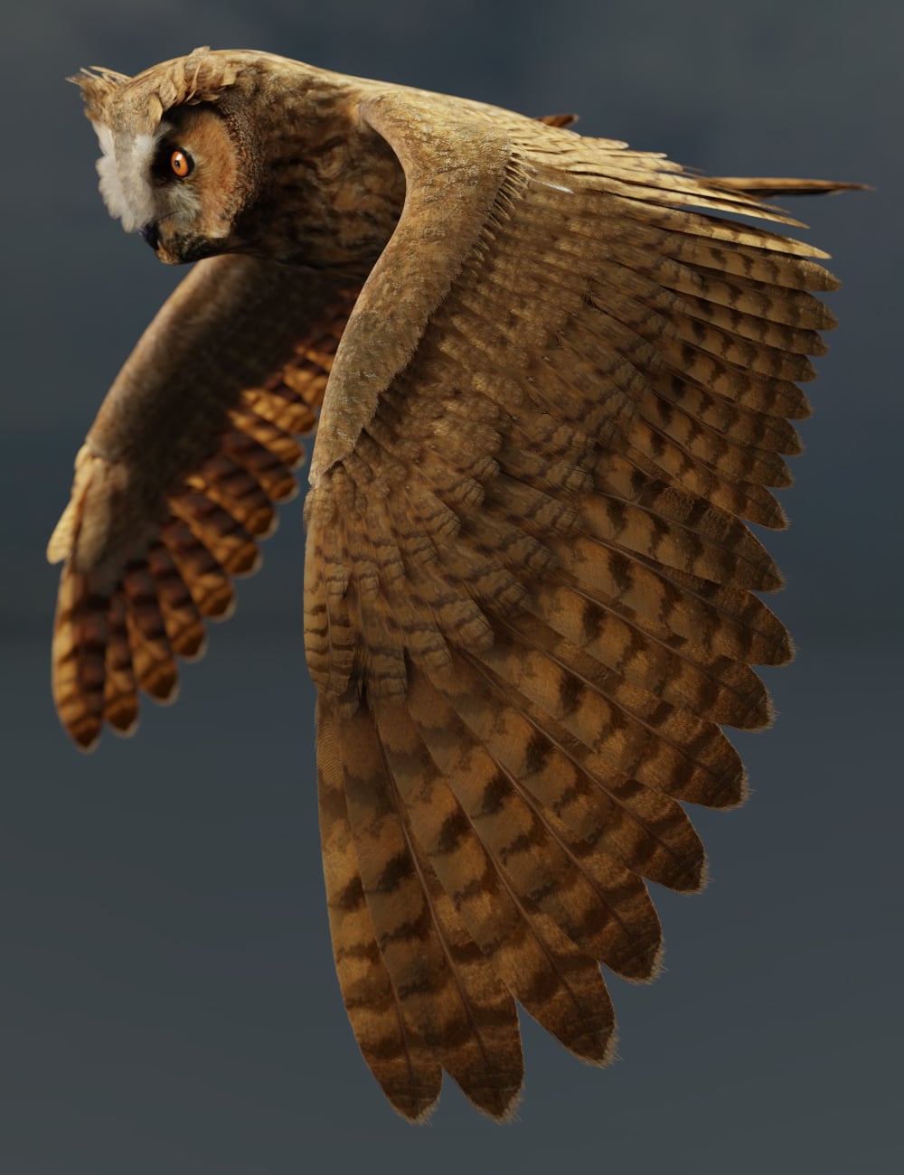 DS Fantasy Owl Species | Daz 3D
