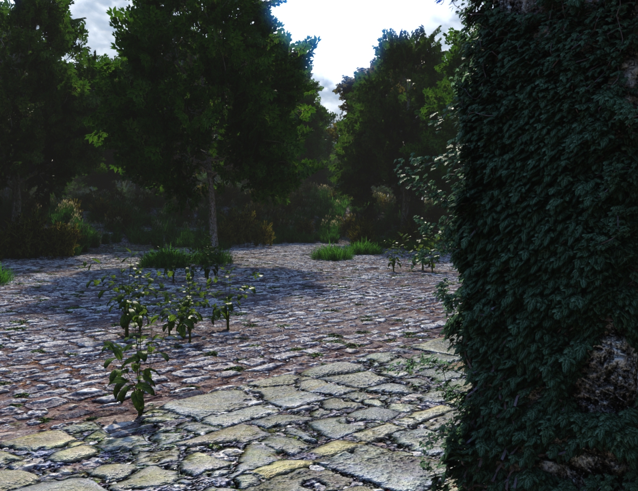 My Lost World | Daz 3D