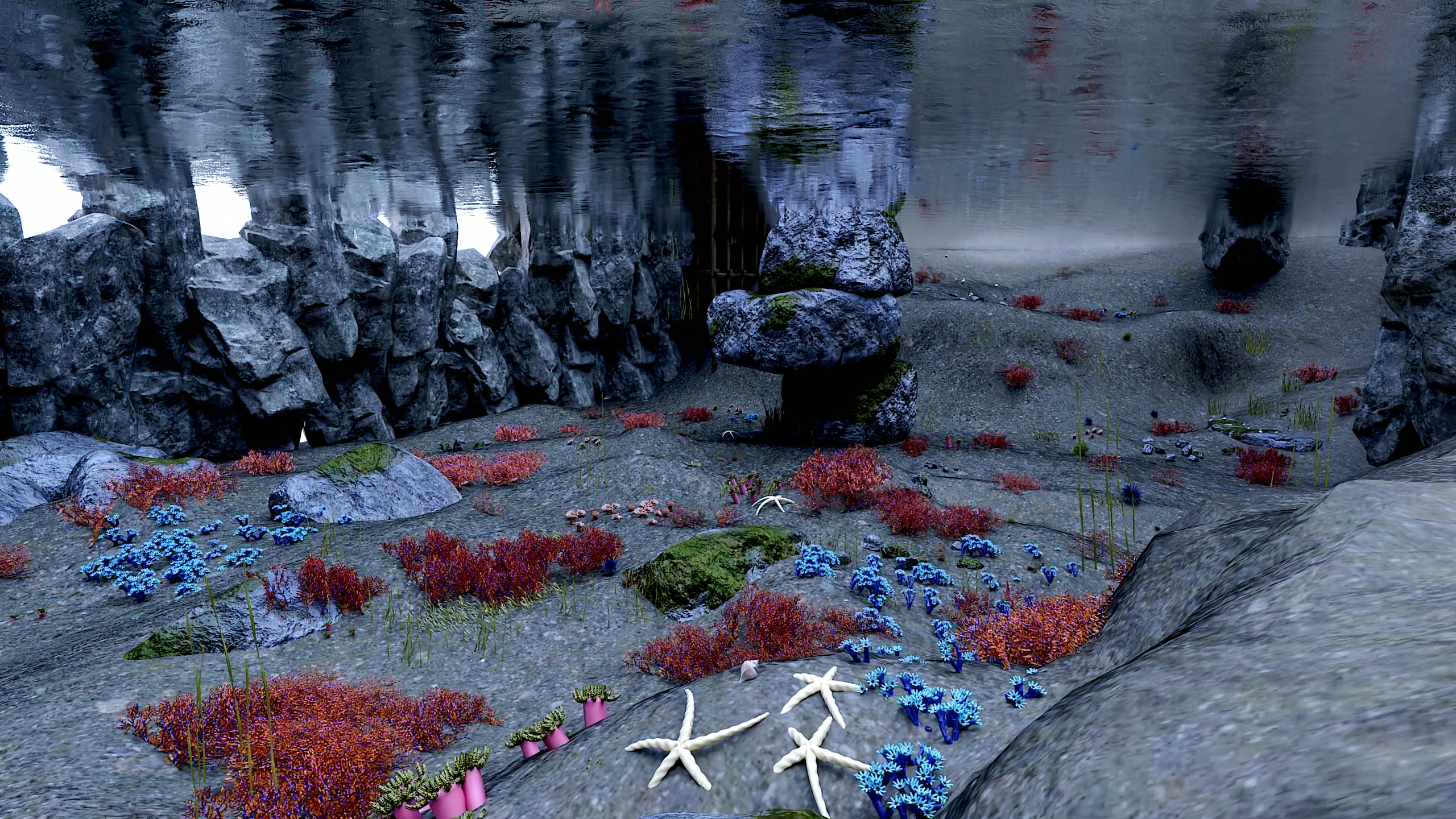 Hidden Fantasy Shore | Daz 3D