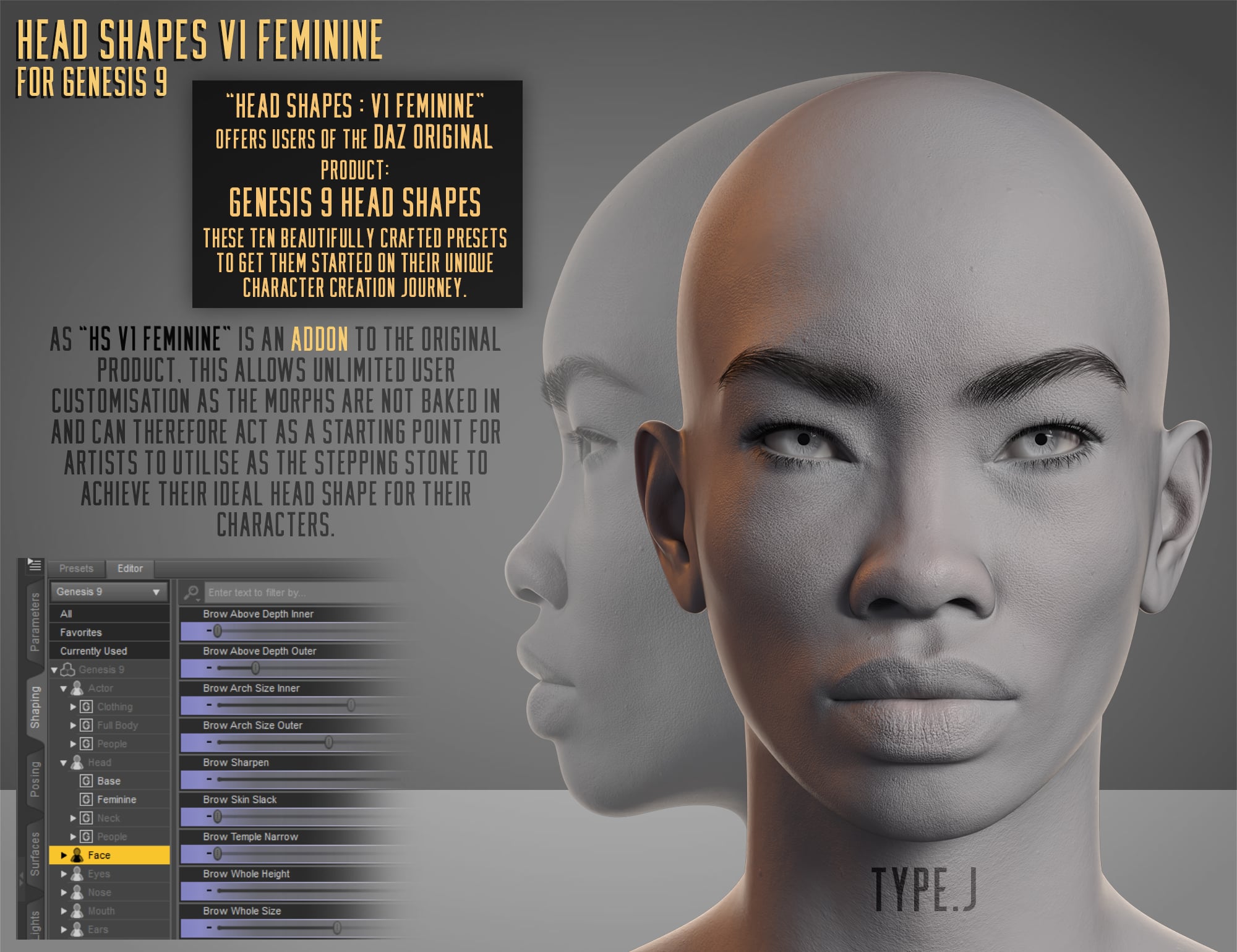 Head Shapes Feminine for Genesis 9 | Daz 3D