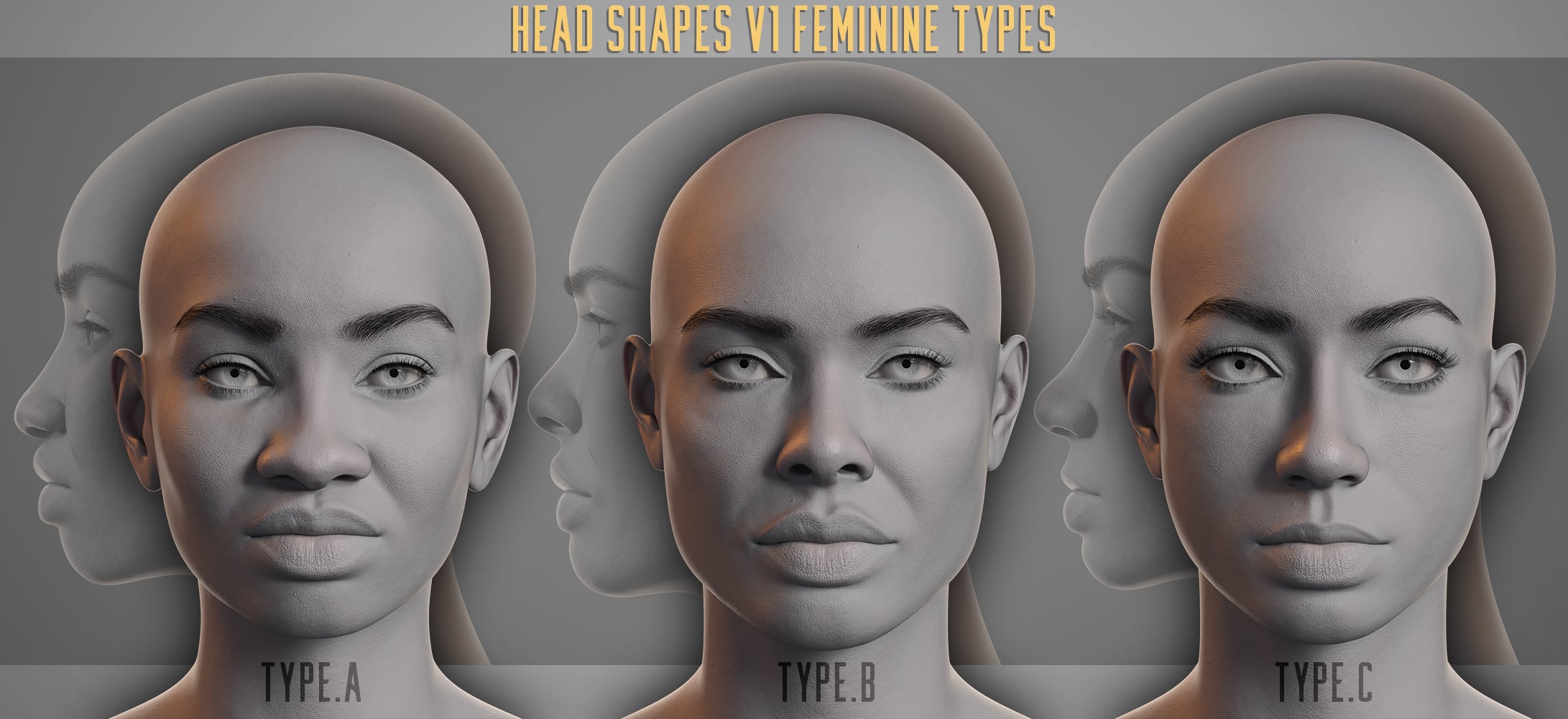 Head Shapes Feminine for Genesis 9 | Daz 3D