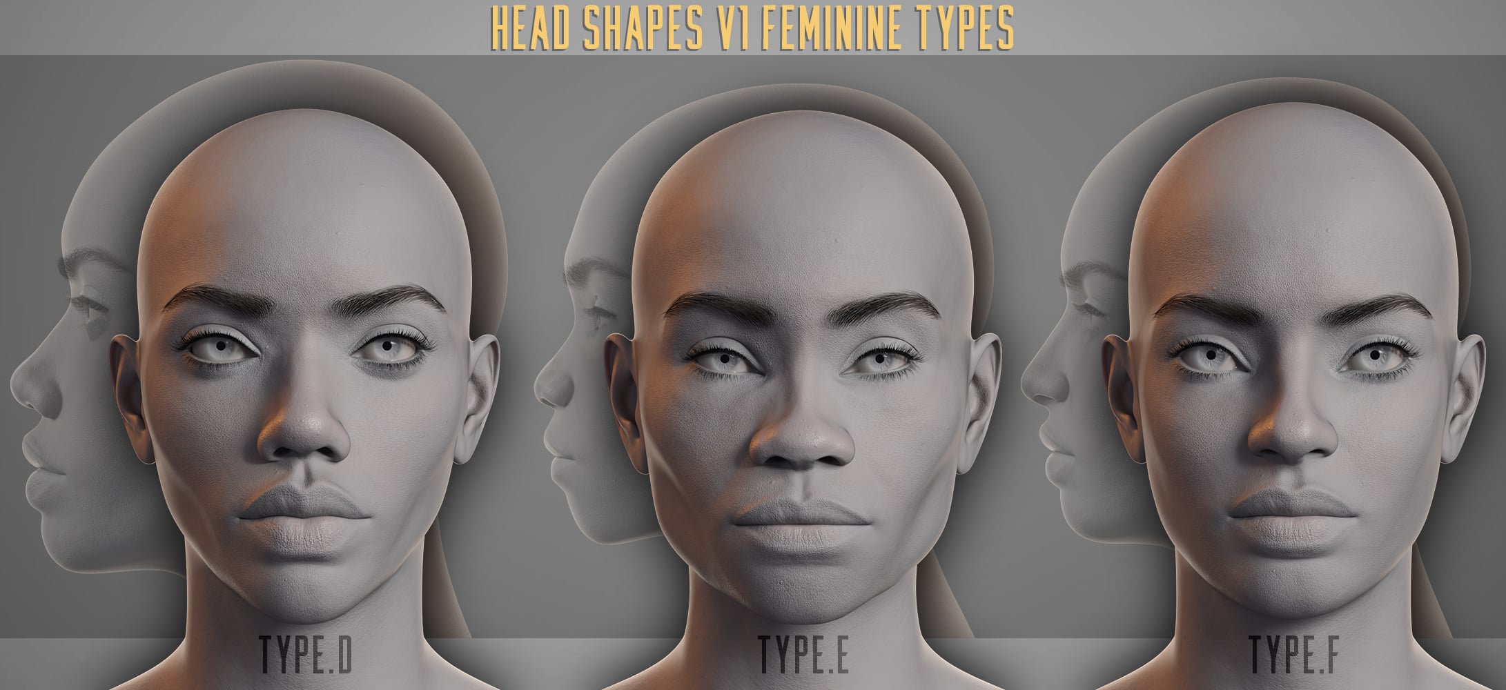 Head Shapes Feminine for Genesis 9 | Daz 3D