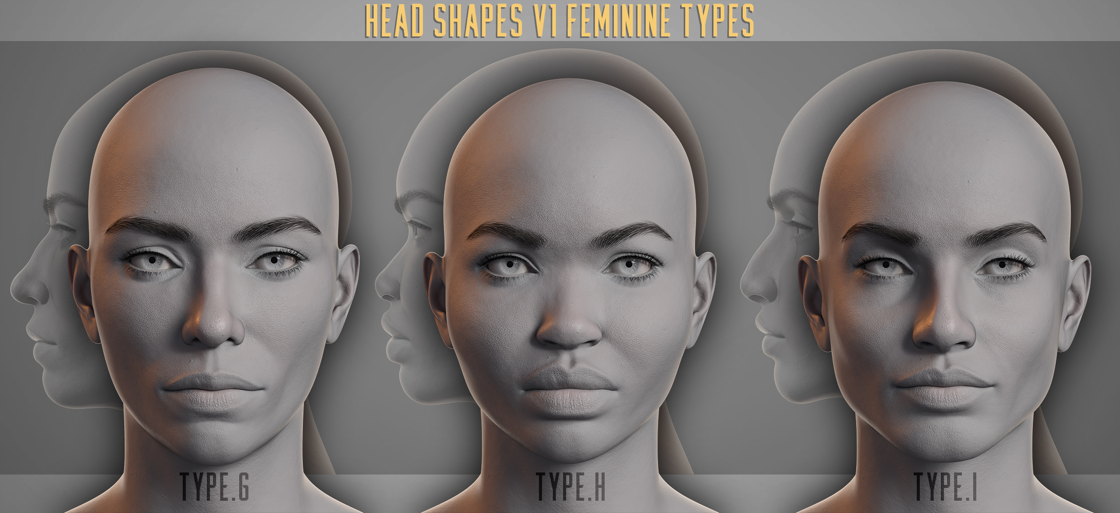 Head Shapes Feminine for Genesis 9 | Daz 3D